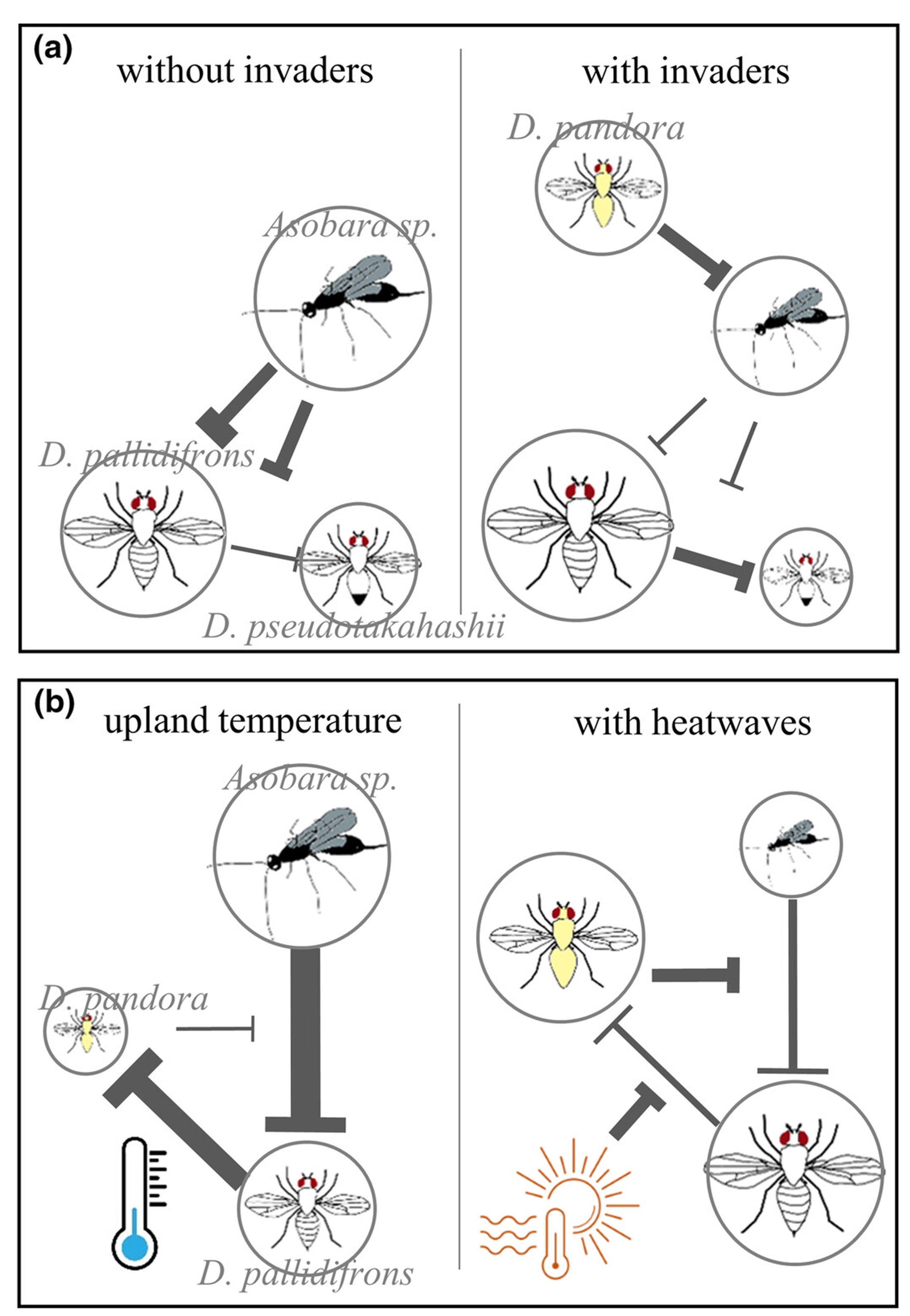 Publications | Community Ecology and Evolution Lab